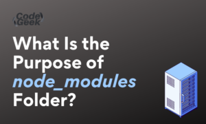 What Is the Purpose of 'node_modules' Folder? | CodeForGeek