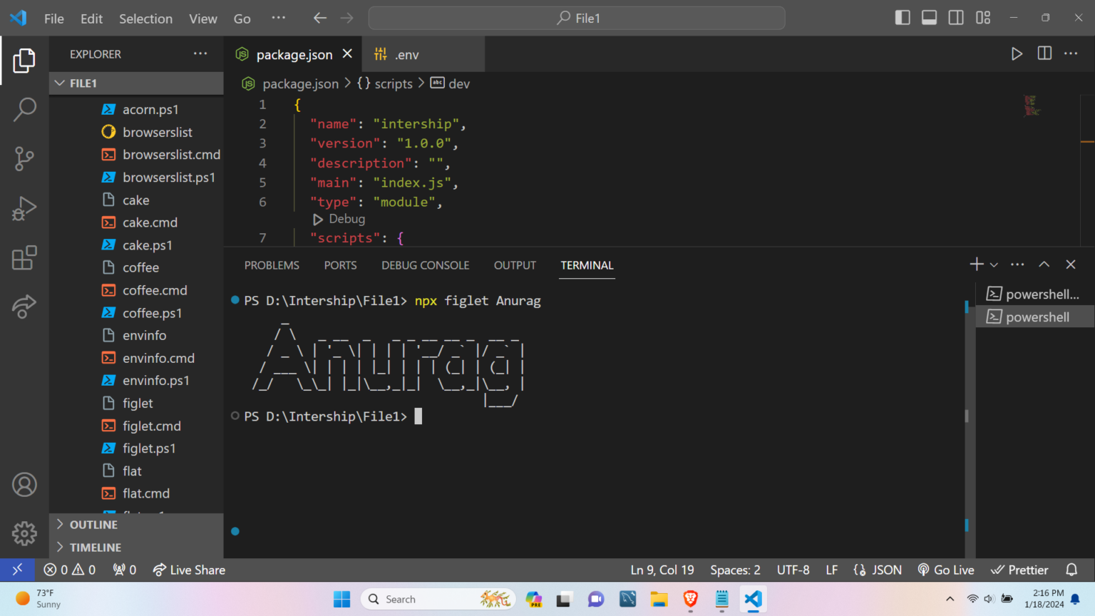 Executing Local NPM Packages: A Simple Guide | CodeForGeek