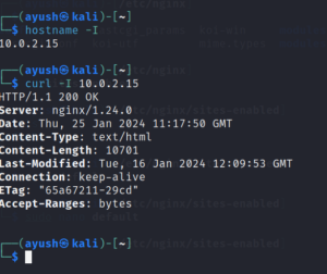 Set Up an Nginx Reverse Proxy on Linux with Node.js Application | CodeForGeek