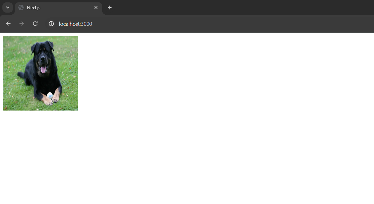 Storing And Accessing Static Files In Nextjs With Examples Codeforgeek