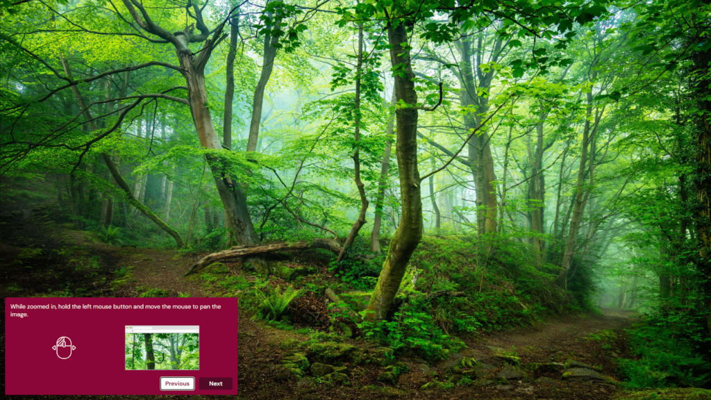 Enhanced Image Viewer: Transforming Your Chrome Image Experience ...